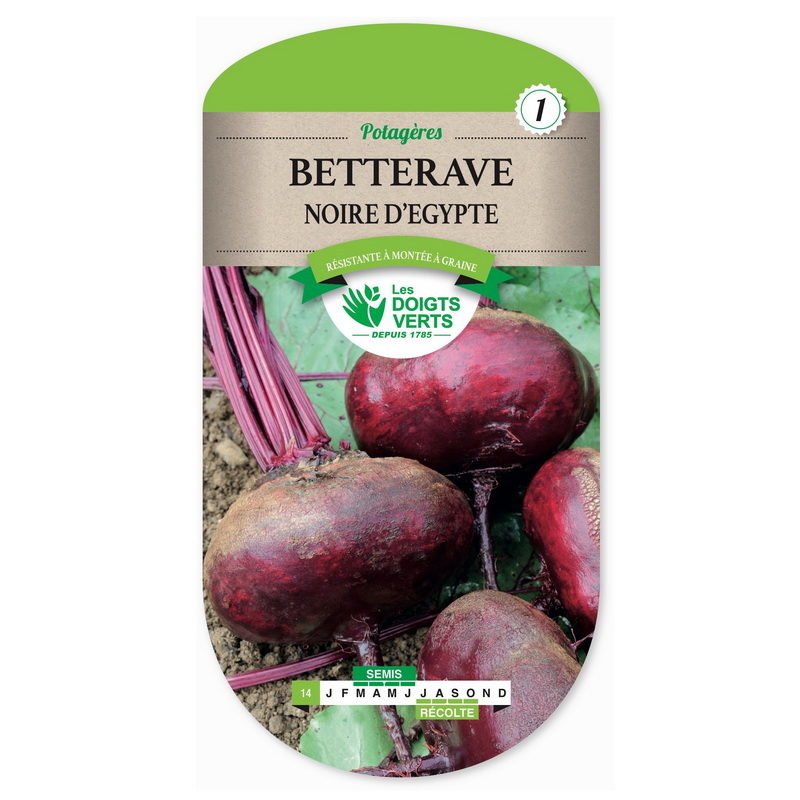 Graines - Betterave noire d'Egypte - 7 gr - Les Doigts Verts - Estragon.be