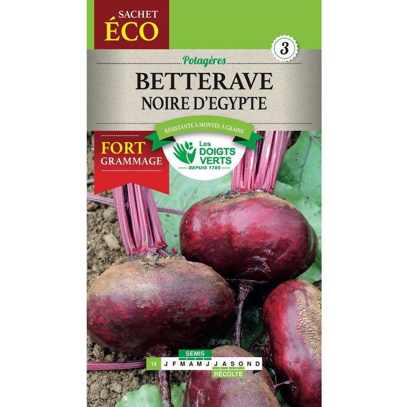 Graines - Betterave noire d'Egypte ECO 20 gr - Les Doigts Verts ...