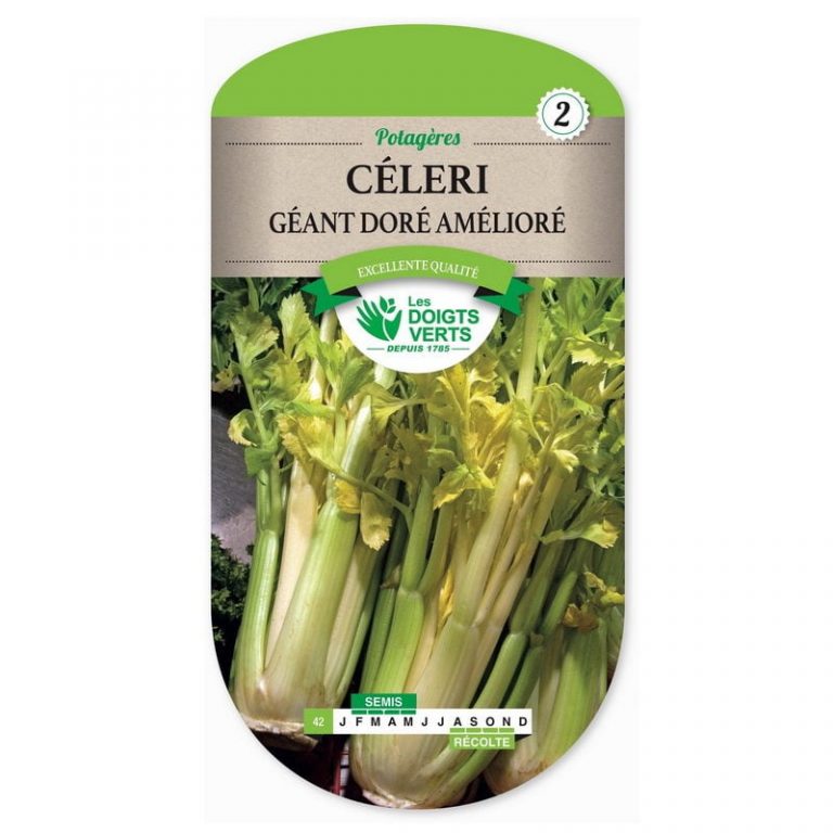 Graines - Céleri géant doré amélioré - 2 gr - Les Doigts Verts - Estragon