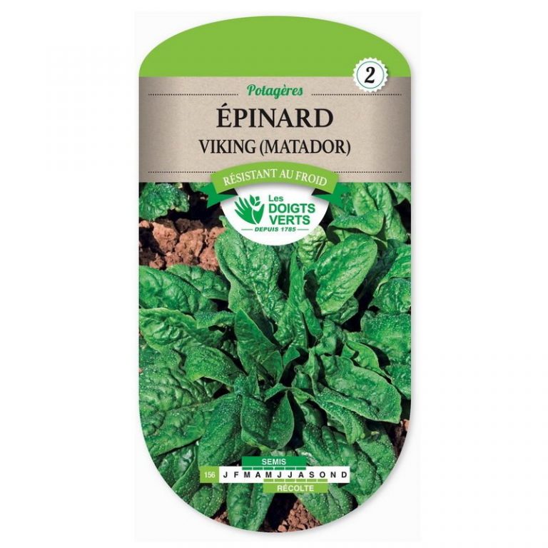 Graines - Epinard Viking Matador - 10 gr - Les Doigts Verts - Estragon