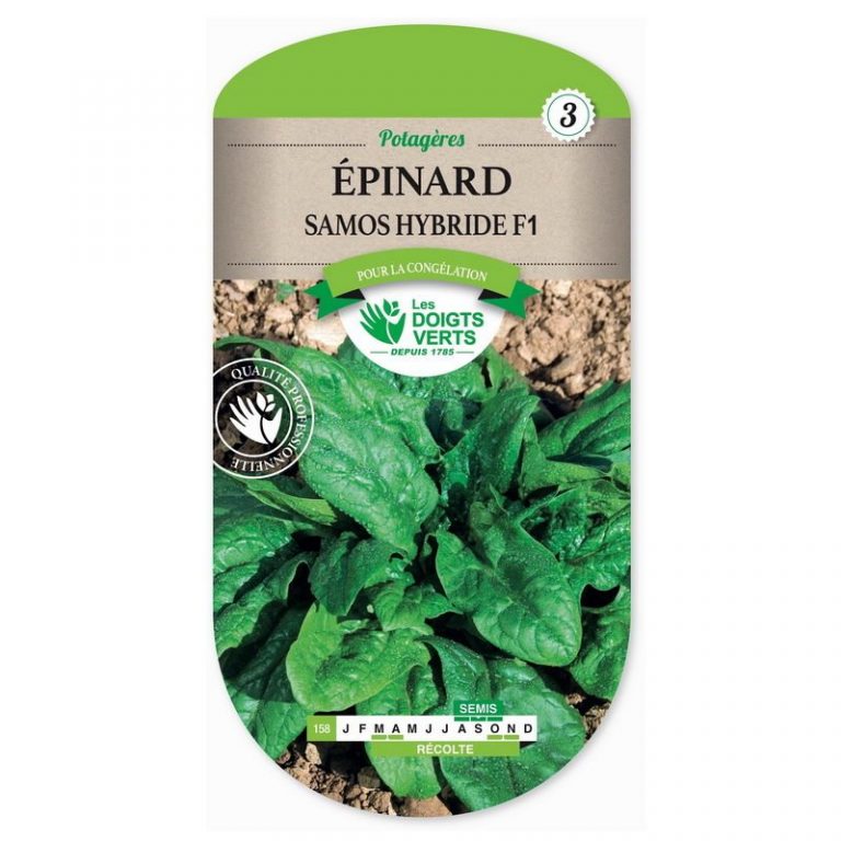 Graines - Epinard Samos Hybride F1 - 10 gr - Les Doigts Verts - Estragon