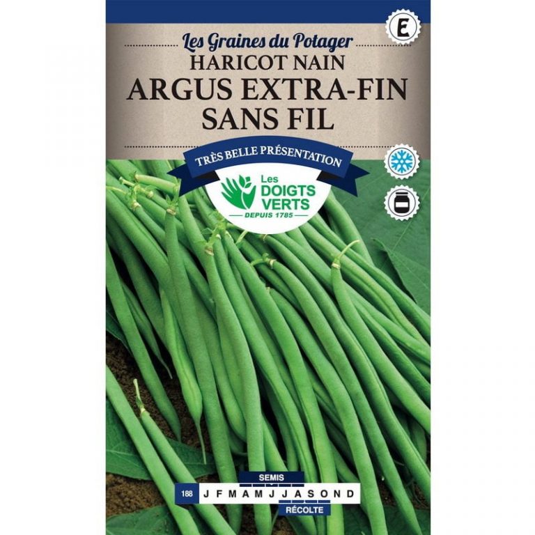 Graines - Haricot nain argus extra-fin sans fil 200 gr - Les Doigts ...