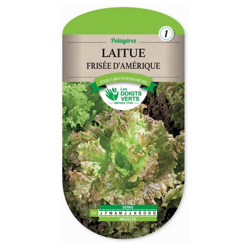 -Semences - Laitue Frisée d'Amérique - Les Doigts Verts - Estragon.be