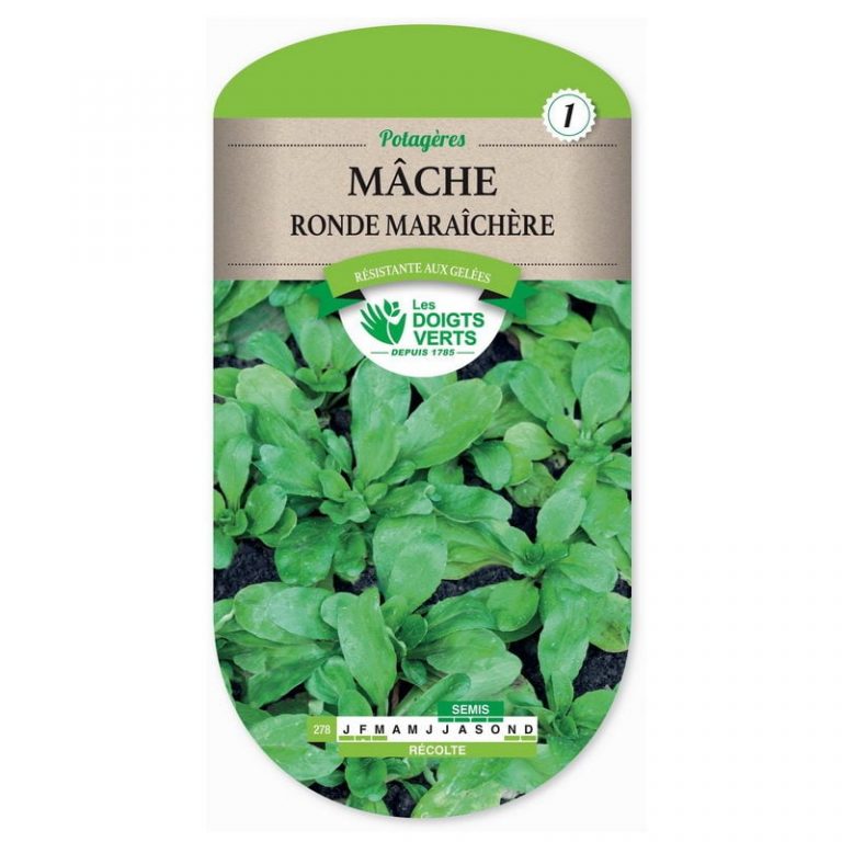 Graines - Mâche ronde maraîchère - 5 gr - Les Doigts Verts - Estragon