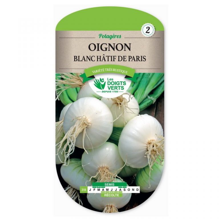 Graines - Oignon Blanc hatif de Paris - 4 gr - Les Doigts Verts - Estragon