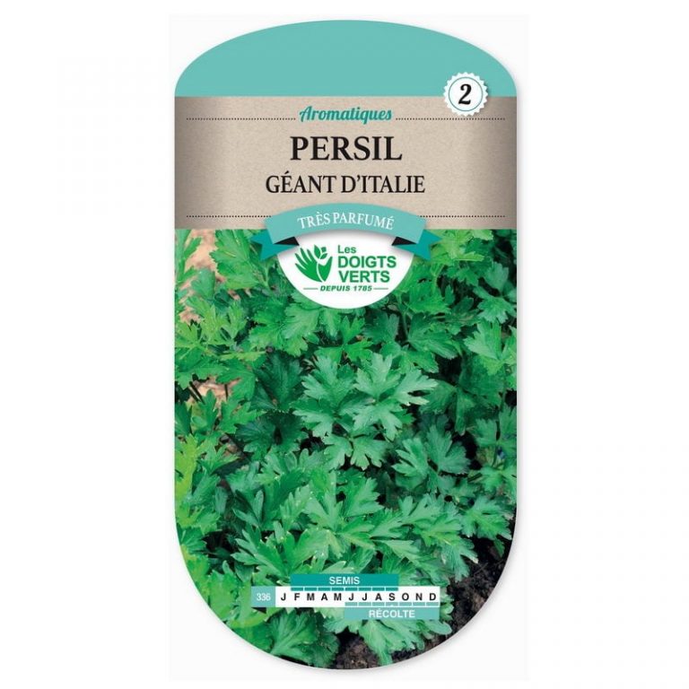 Graines - Persil géant d'Italie - 7 gr - Les Doigts Verts - Estragon