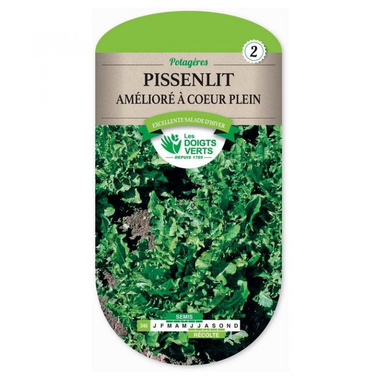 Graines - Pissenlit amélioré à coeur plein - 1 gr - Les Doigts Verts ...