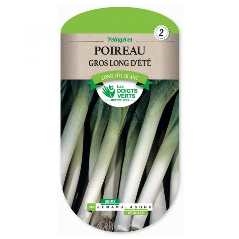 Graines - Poireau gros long d'été - 4 gr - Les Doigts Verts - Estragon
