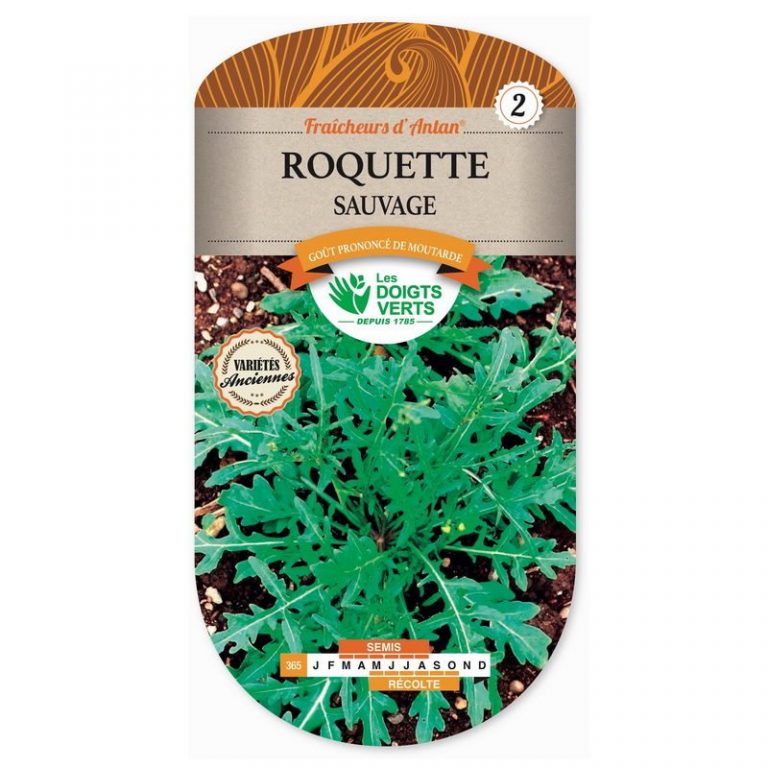 Graines - Roquette sauvage - 3 gr - Les Doigts Verts - Estragon