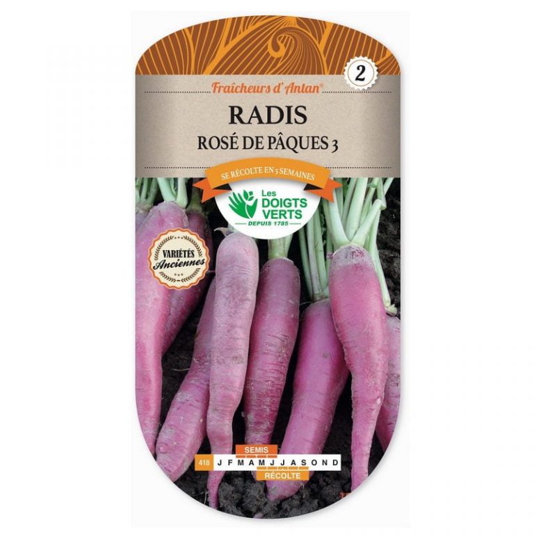 Graines - Radis rosé de Paques 3 - 10 gr - Les Doigts Verts - Estragon