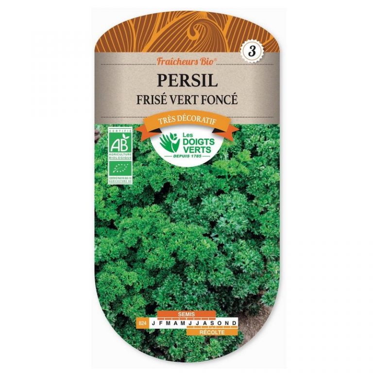 Graines - Persil frisé vert foncé bio - 5 gr - Les Doigts Verts - Estragon