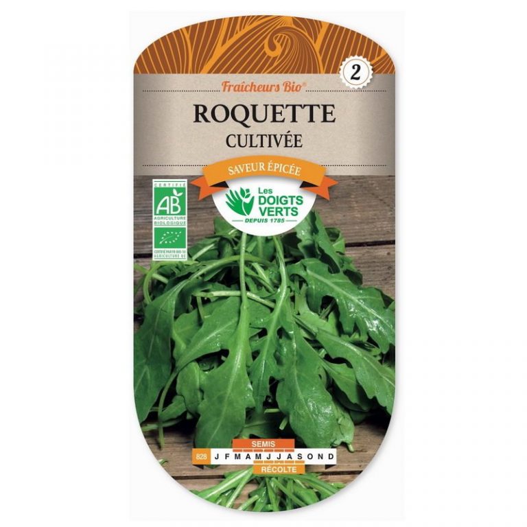 Graines - Roquette Cultivée bio - 3 gr - Les Doigts Verts - Estragon