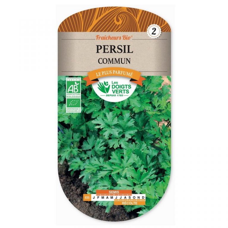 Graines - Persil commun bio - 5 gr - Les Doigts Verts - Estragon