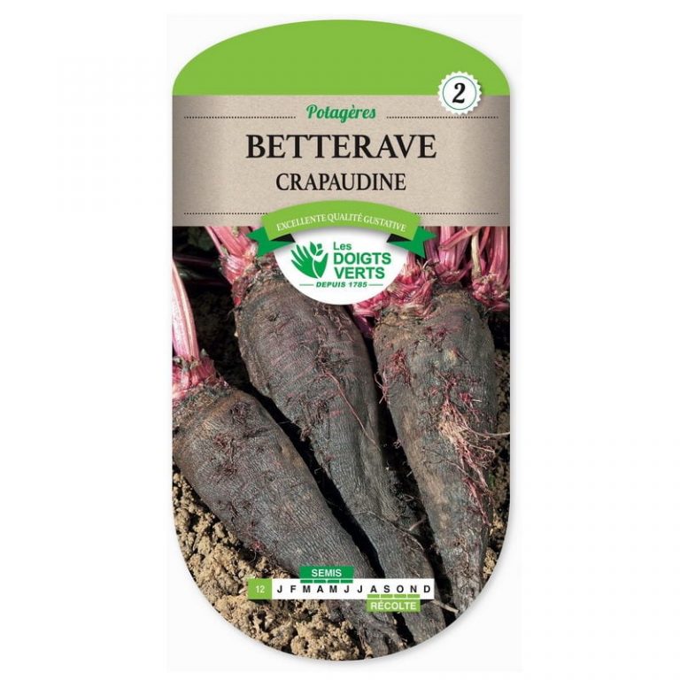 Graines - Betterave Crapaudine - 5 gr - Les Doigts Verts - Estragon
