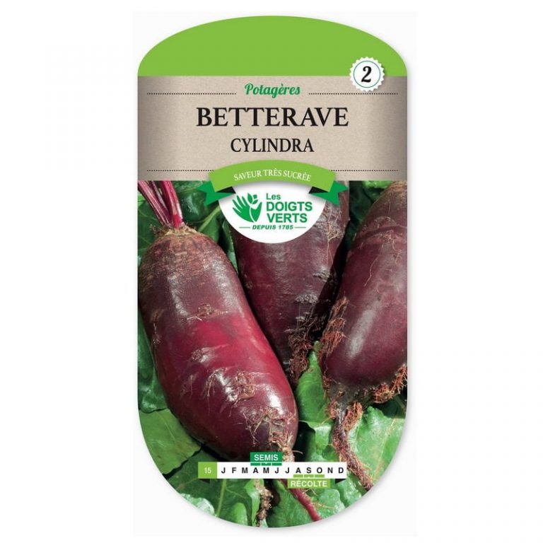 Graines - Betterave Cylindra - 7 gr - Les Doigts Verts - Estragon