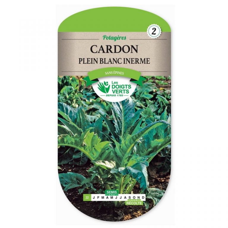 Graines - Cardon plein blanc inerme - 6 gr - Les Doigts Verts - Estragon