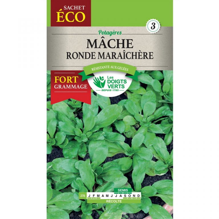 Graines - Mâche Ronde Maraîchère ECO 15 gr - Les Doigts Verts - Estragon