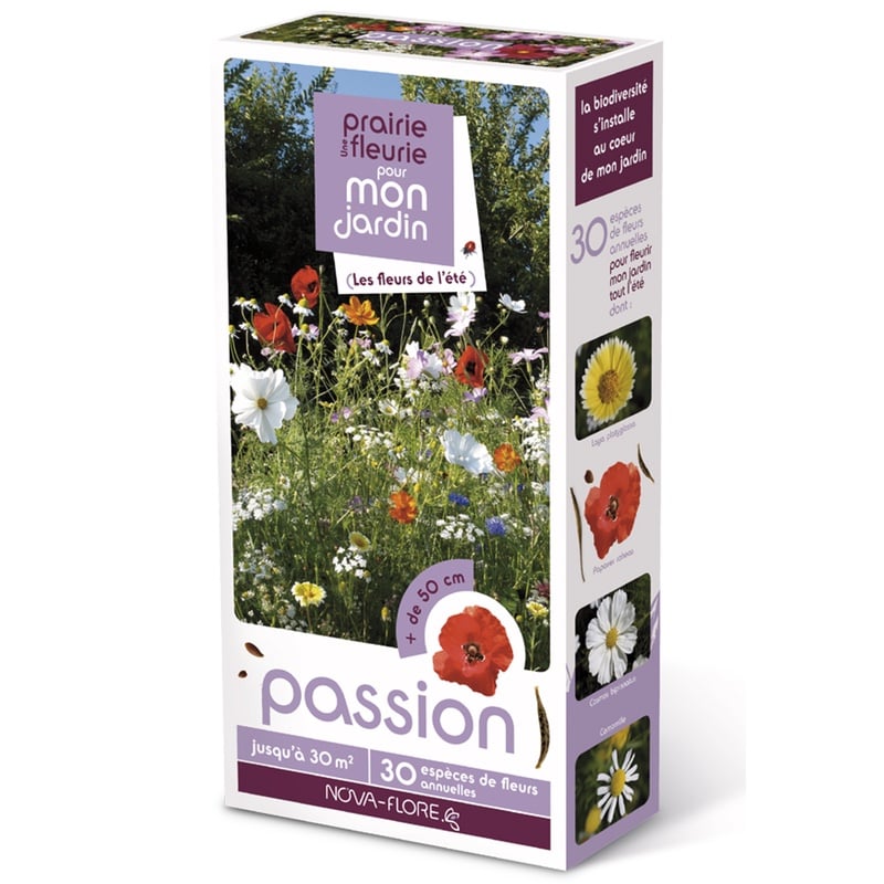 Graines - Prairie Fleurie - Fleurs Faciles - Passion 30 m² - Nova-Flore ...