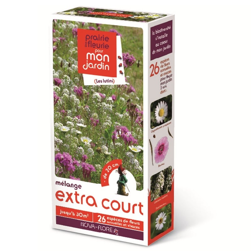 Graines - Prairie Fleurie - Lutins - Extra Court 30 m² - Nova-Flore ...