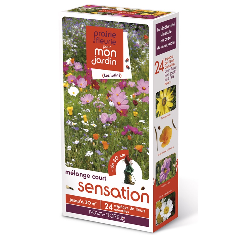 Graines - Prairie Fleurie - Lutins - Sensation 30 m² - Nova-Flore ...
