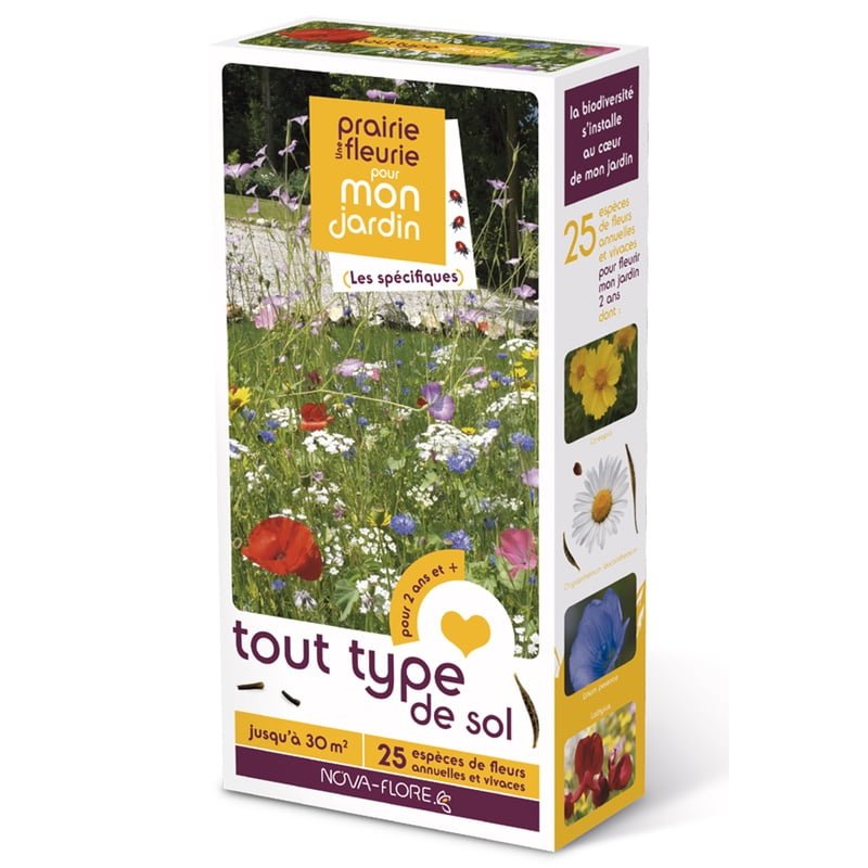 Graines - Prairie Fleurie - Spécifiques - Tout Type de Sol 30 m² - Nova ...