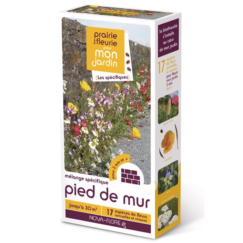 Graines - Prairie Fleurie - Spécifiques - Pied de Mur 30 m² - Nova ...