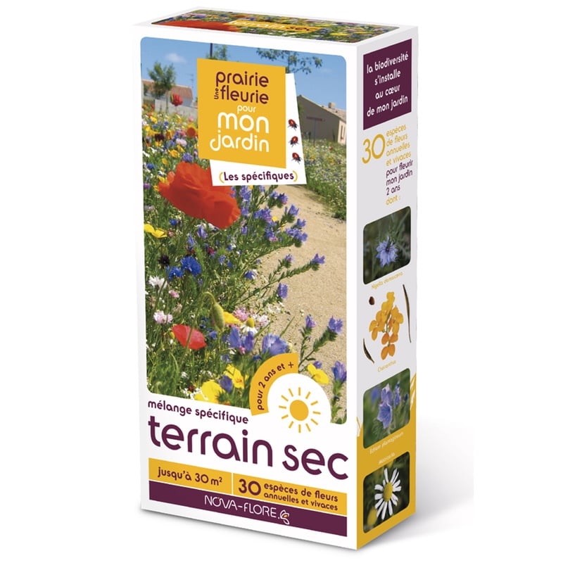 Graines - Prairie Fleurie - Spécifiques - Terrain Sec 30 m² - Nova ...