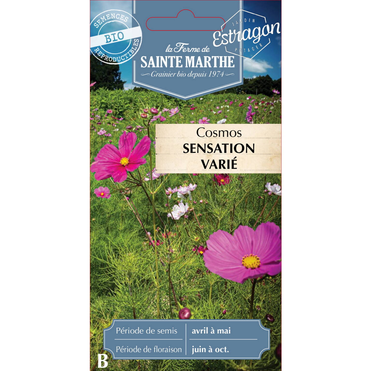 Graines - Cosmos Sensation varié bio - 250 graines - Ferme de Sainte ...