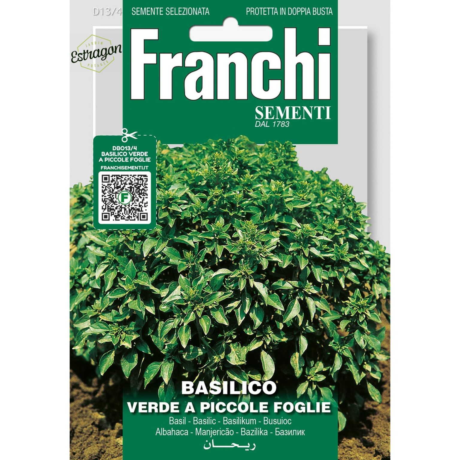 Zaden - Basilicum - Basilico verde a piccole foglie - 2 gr - Franchi ...