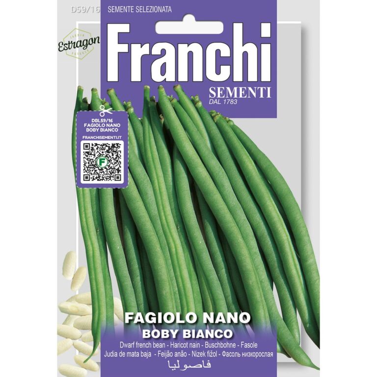 Graines - Haricot nain - Fagiolo Nano Boby Bianco 50 gr - Franchi ...