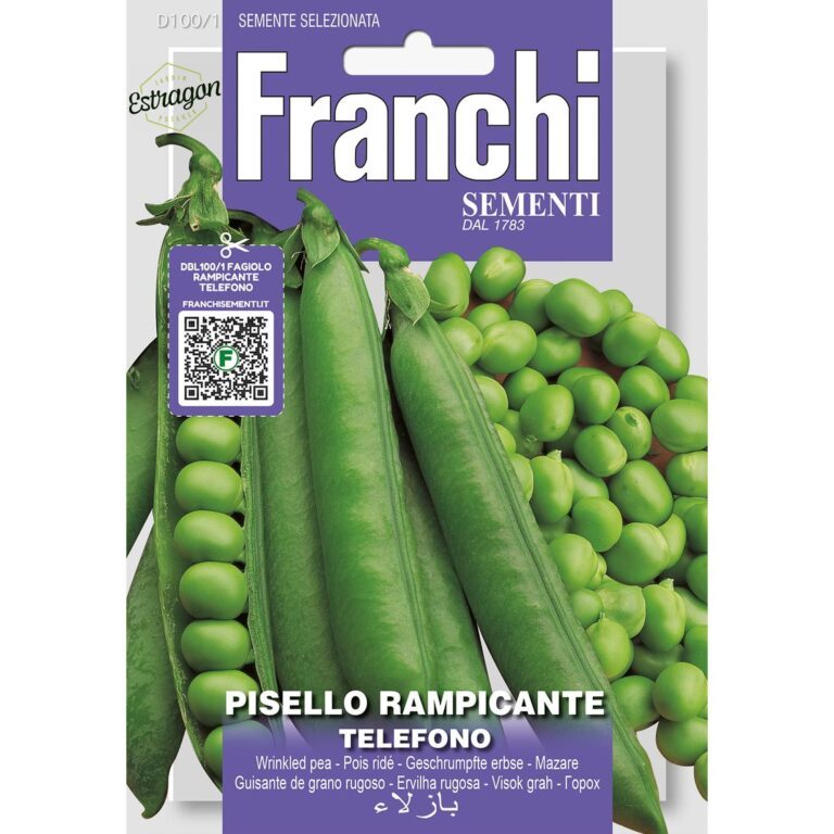 Graines - Pois - Pisello rampicante telefono - 50 gr - Franchi - Estragon
