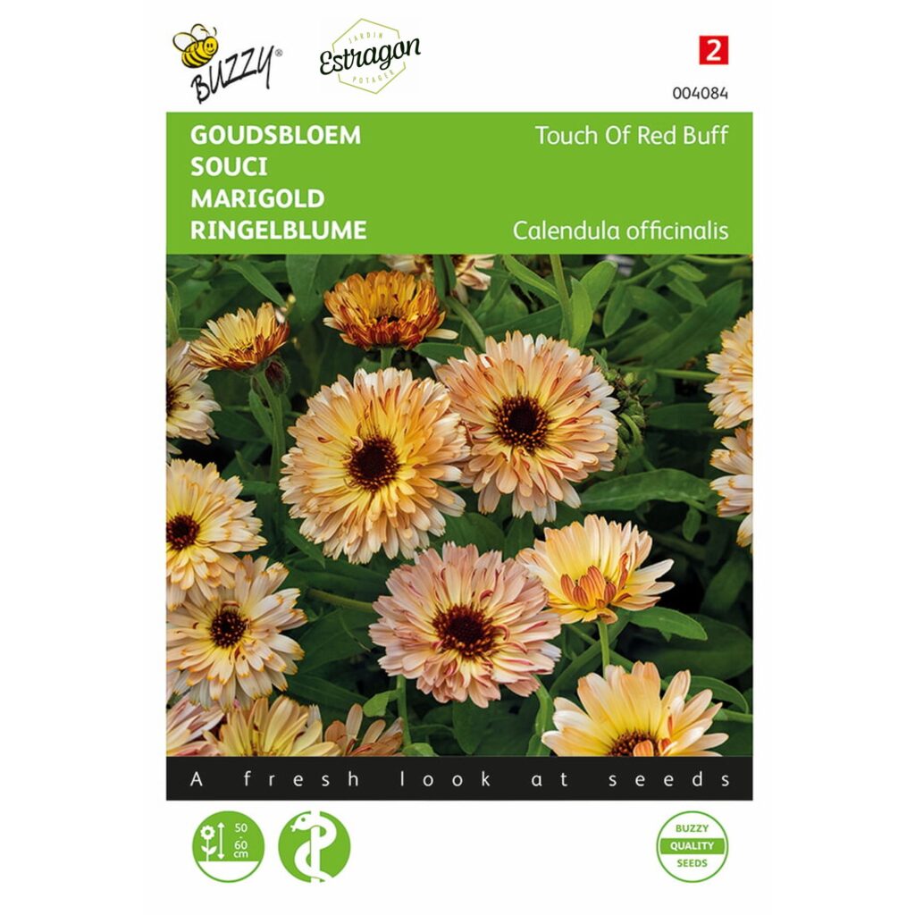 Zaden - Goudsbloem Touch Of Red Buff - 0,75 gr - Buzzy - Estragon