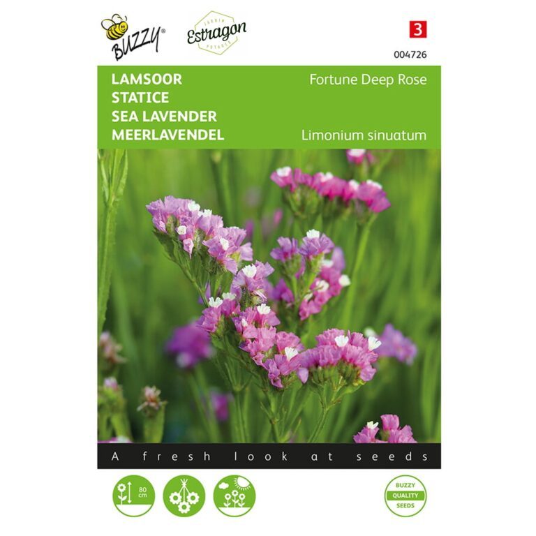 Graines - Statice Fortune Deep Rose - 0,2 gr - Buzzy - Estragon