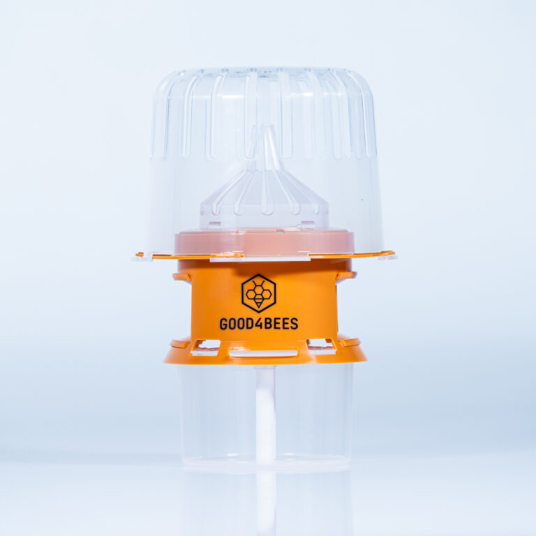 Selectieve val tegen Aziatische hoornaar V2 + 2 x 50 ml vespattract ...